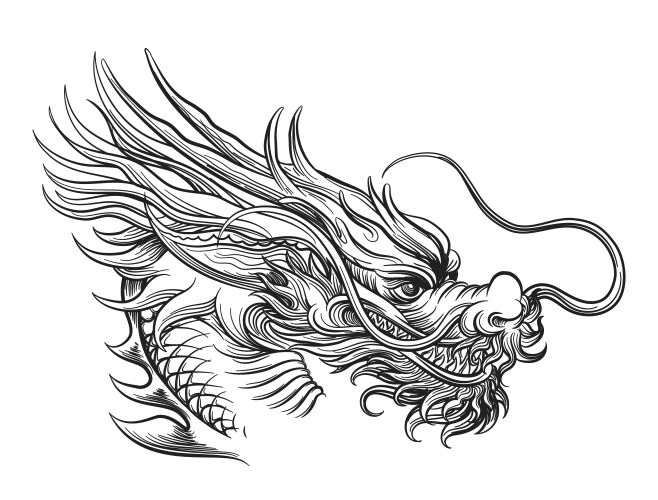 Dragon Head Vector Images (over 15,000)