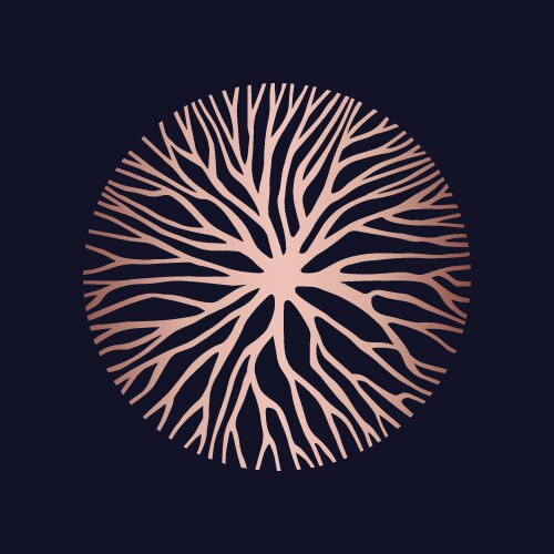 Black tree silhouette Royalty Free Vector Image