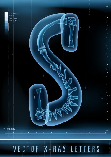 X-ray font transparent roentgen alphabet Vector Image