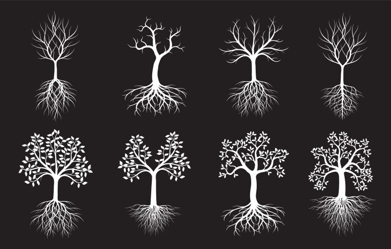 Outline of Tree Roots Sketch Vector Images (over 1,500)