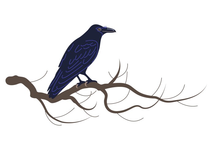Raven on a branch Royalty Free Vector Image - VectorStock