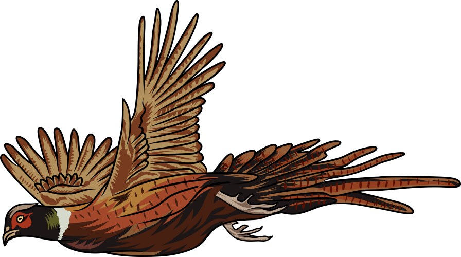 Pheasant Hunting Logo