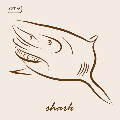 Shark Eyes Vector Images (over 640)