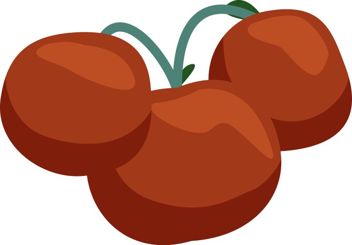 Flat tomato plant Royalty Free Vector Image - VectorStock