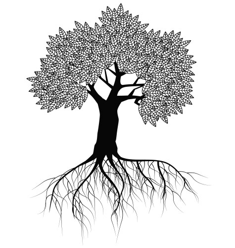 Walnut tree with roots Royalty Free Vector Image