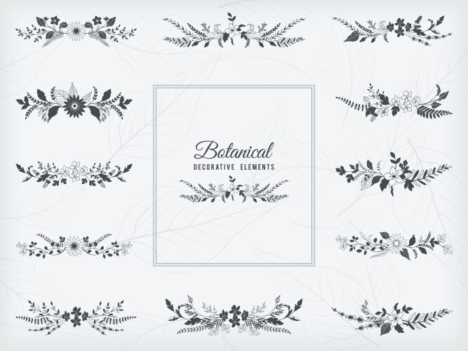 Floral border Royalty Free Vector Image - VectorStock