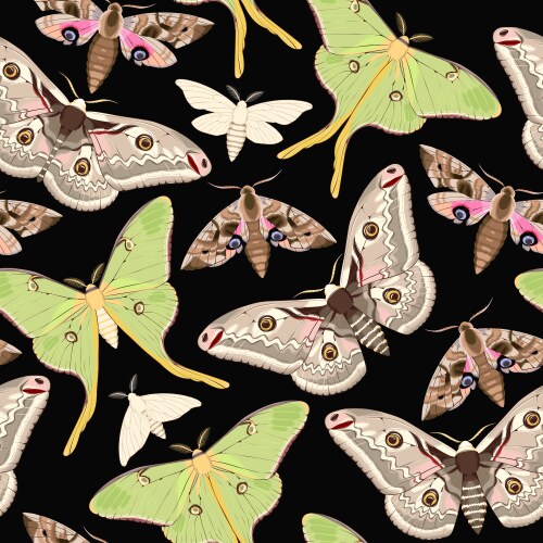 Seamless pattern with hand drawn moths Royalty Free Vector
