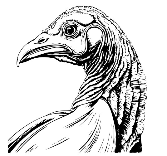 Turkey head silhouette Vector Images & Graphics for Commercial Use ...