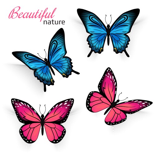 Butterflies Vector Images (over 160,000)