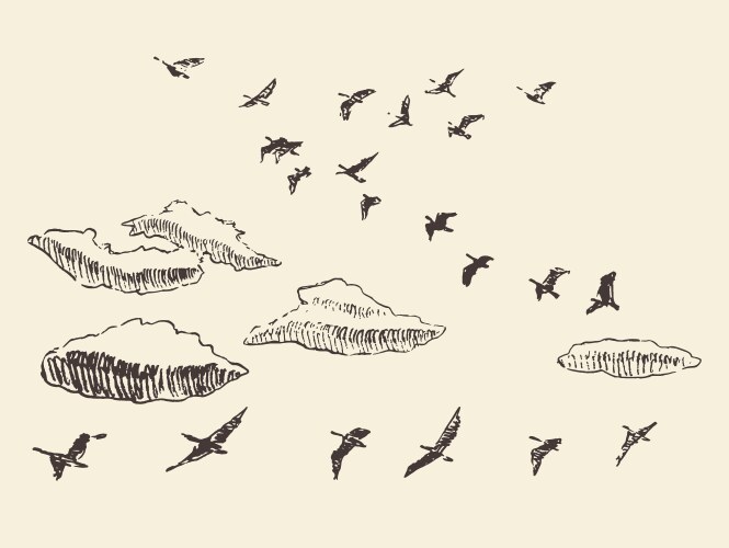 Flock birds flying swallows drawn sketch Vector Image