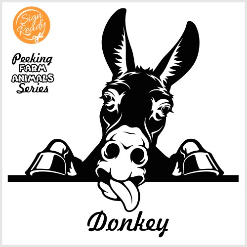 Donkey Vector Images (over 13,000)
