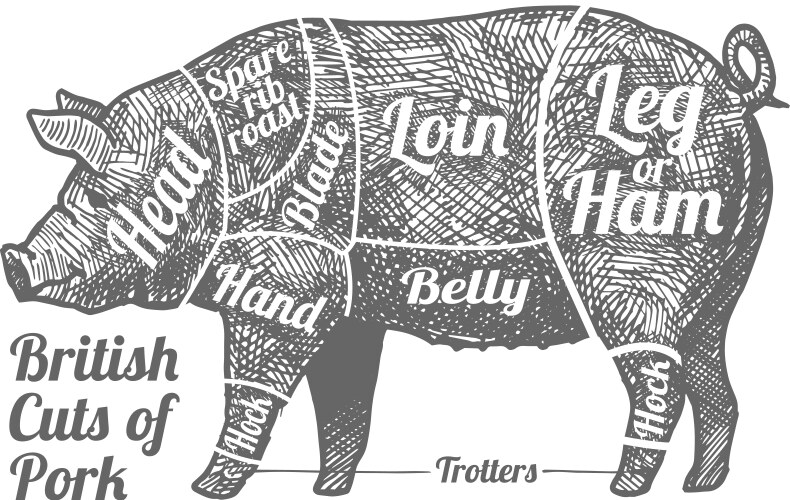 Cuts of pork Royalty Free Vector Image - VectorStock