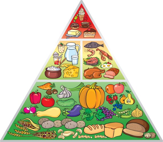 Food pyramid with proteins Vector Images & Graphics for Commercial Use ...