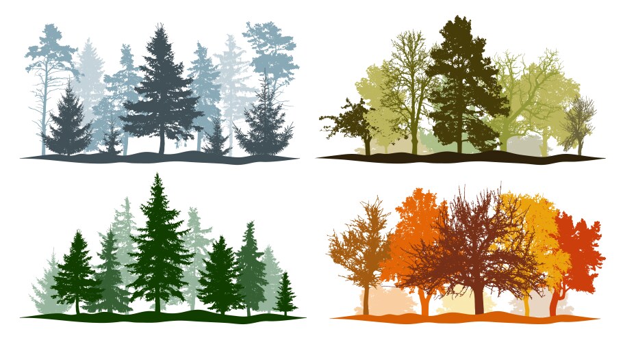 Four Seasons Tree Art Royalty Free Vector Image