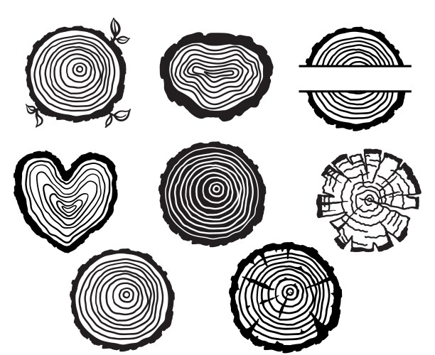 Black White Tree Rings Vector Images (over 4,100)