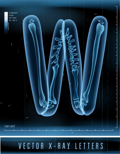 Blue 3d x ray style alphabet Royalty Free Vector Image