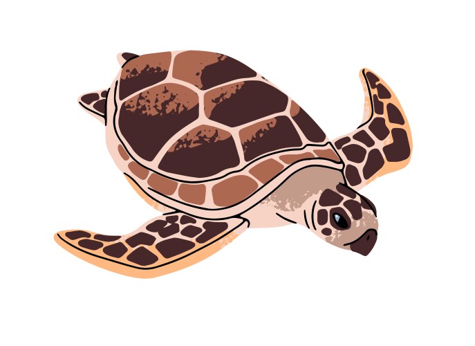 Sea Turtle Vector Images (over 19,000)