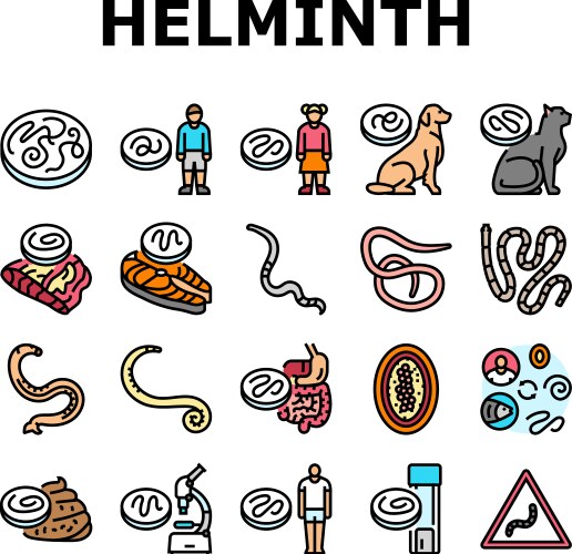 Helminth Vector Images (over 700)