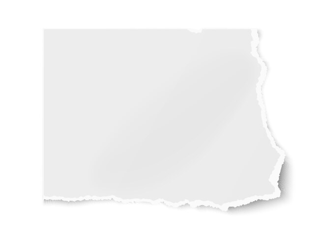 White rectangular torn paper tear Royalty Free Vector Image