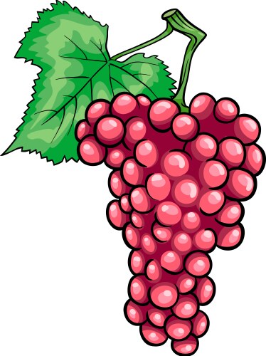 Bunches of grapes cartoon Royalty Free Vector Image