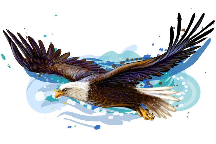 Soaring Eagle Graphic