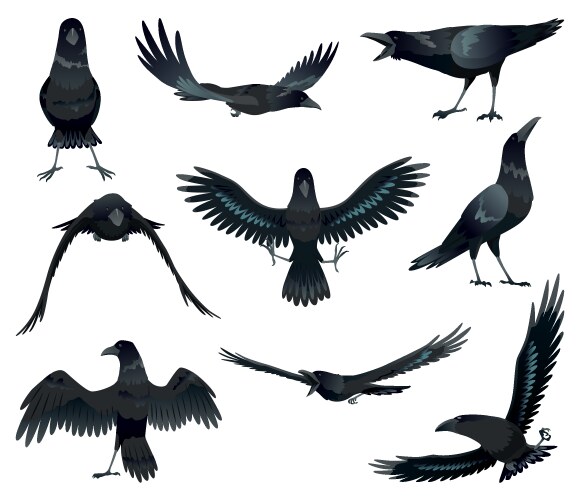 Ravens Vector Images (over 9,700)
