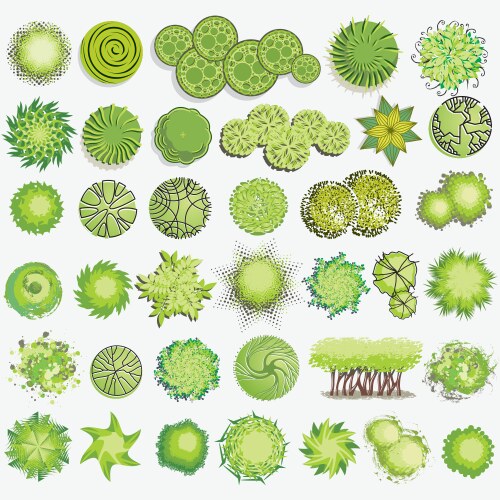 Trees and bush item top view for landscape design Vector Image