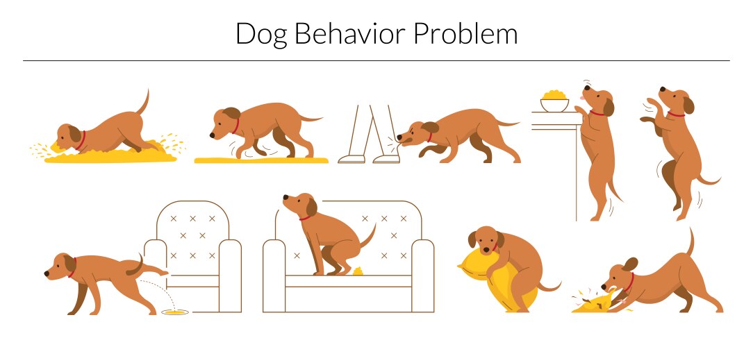 Dog behavior set eat play sleep concept Royalty Free Vector