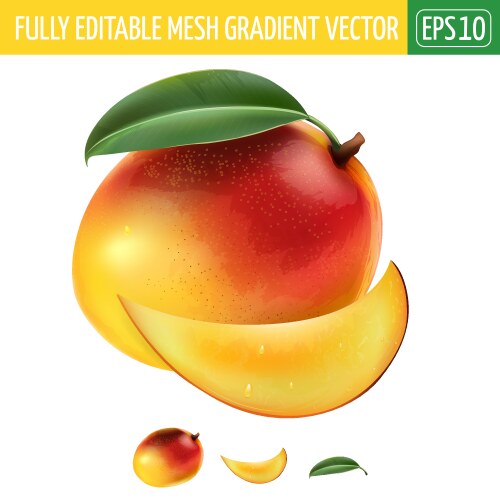 Mango Vector Images (over 22,000)
