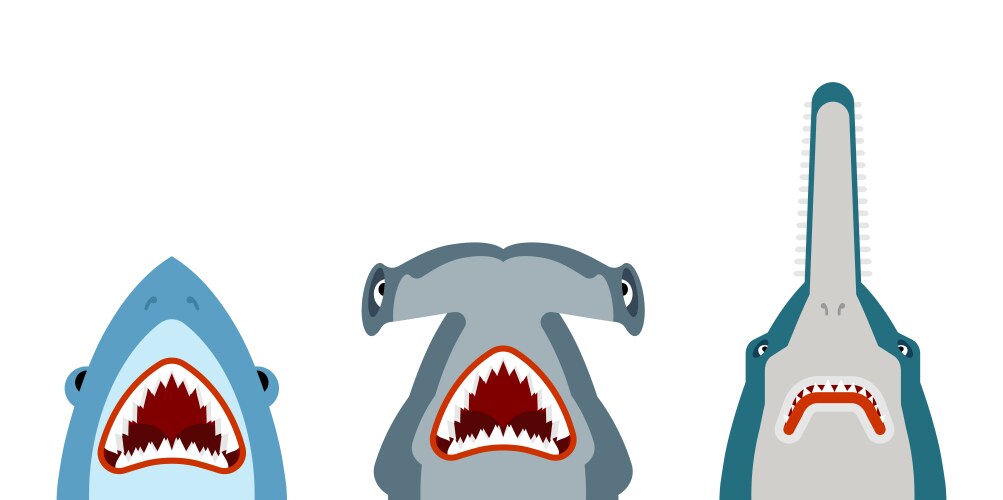 Shark set marine predator collection hammerhead Vector Image