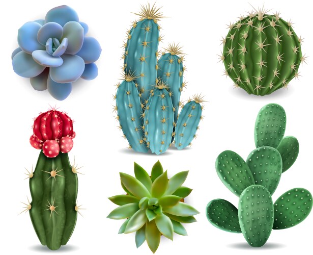 Succulent Vector Images (over 48,000)