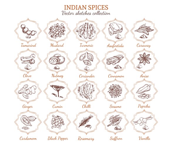 Indian Spices Vector Images (over 6,100)