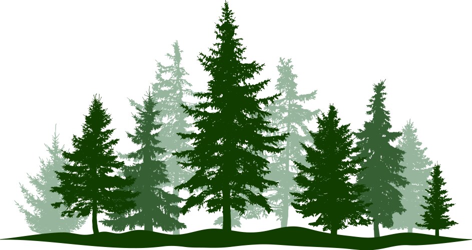 Pine forest hand drawn border Royalty Free Vector Image