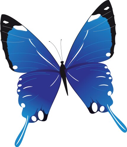 Butterfly Vector Images (over 170,000)