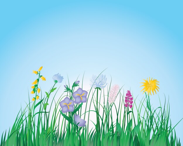 Flower and grass for decor Royalty Free Vector Image