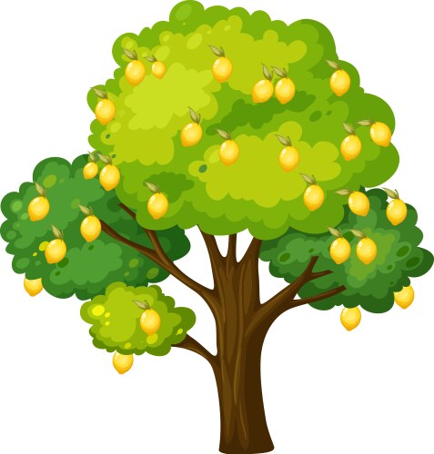 Lemon tree in cartoon style isolated on white Vector Image