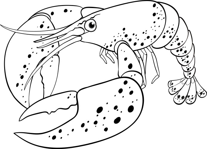 Lobster Outline Vector Images (over 3,200)