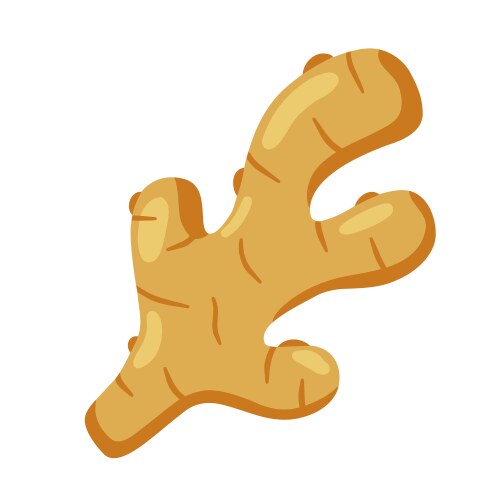 Ginger Root Cartoon Vector Images (over 690)