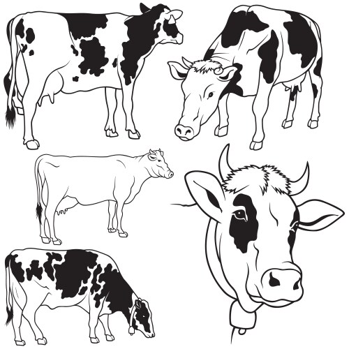 Free Cow Vector Images (over 4,200)