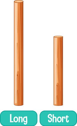 Opposite adjectives words with short and long Vector Image