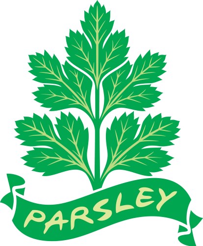 Parsley label herb food ingredient organic Vector Image