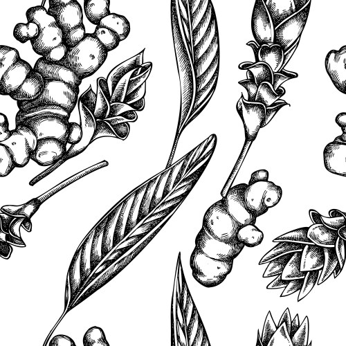 Turmeric Vector Images (over 3,000)