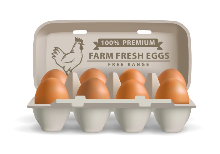 Eggs in box Royalty Free Vector Image - VectorStock