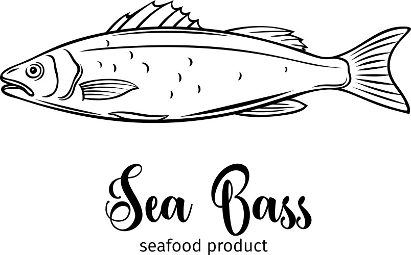 Bass Fish Outline Vector Images (over 1,700)