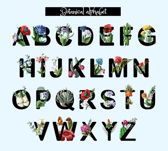 Tropical alphabet made of banana palm leaves Vector Image