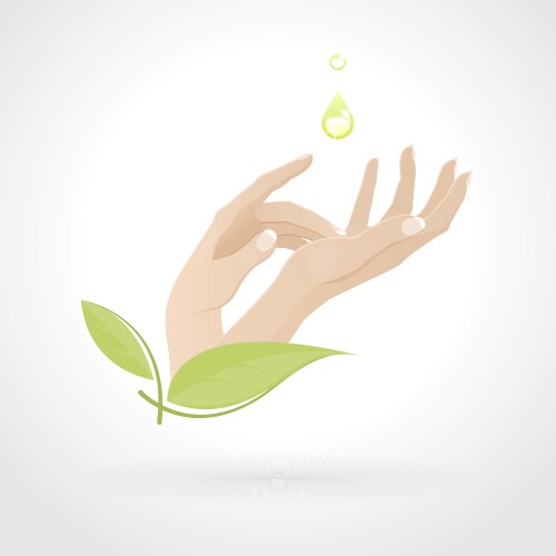 Female hands care and hygiene Royalty Free Vector Image