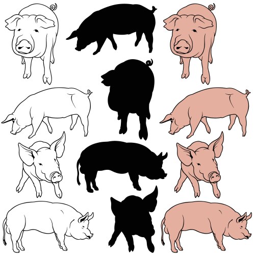 Pigs Vector Images (over 89,000)