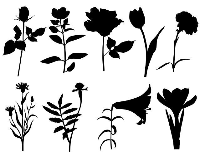 Flower Vector Vector Images (over 2.1 million)