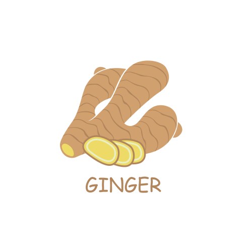 Ginger Vector Images (over 33,000)