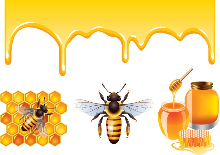 Honey Vector Images (over 100,000)
